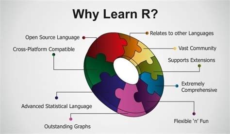 r programming language a statistical computing and graphics tool
