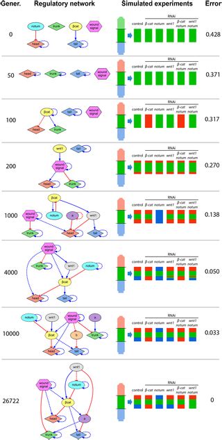 inferring regulatory networks from experimental morphological phenotypes a computational method