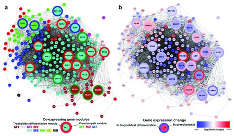 co expression network of transcription regulatory genes involved in download scientific diagram