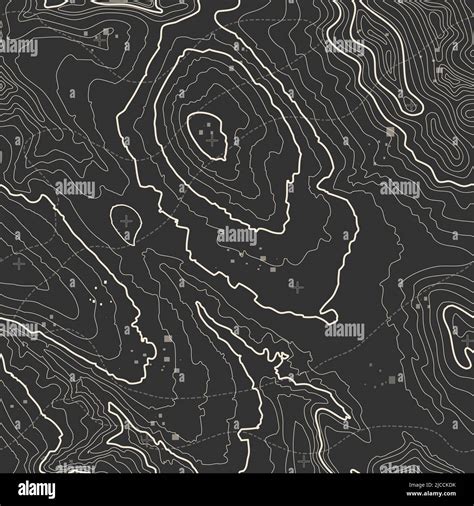Grey Contours Vector Topography Geographic Mountain Topography Vector