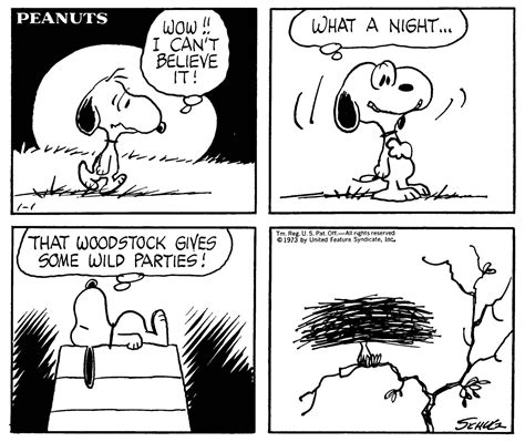 Pin By Ann Gibson On I Love Snoopy Snoopy Comics Snoopy Love Snoopy Funny