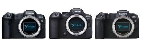 Verschillen Tussen De Canon EOS R8 De R6 Mark II En De RP