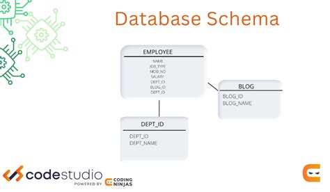What Is Database Schema Coding Ninjas CodeStudio