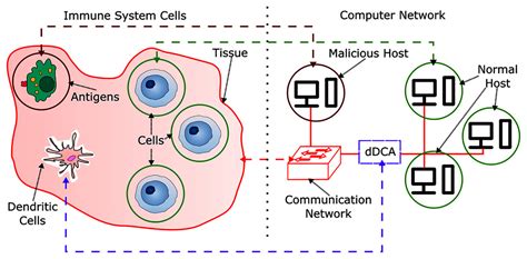 multiresolution dendritic cell algorithm for network anomaly detection [peerj]