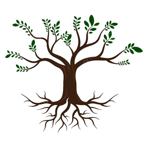 Tree Roots Logo Vector PNG Images Vector Illustration Of Circular Tree