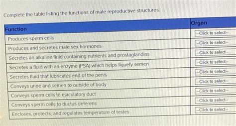 solved complete the table listing the functions of male