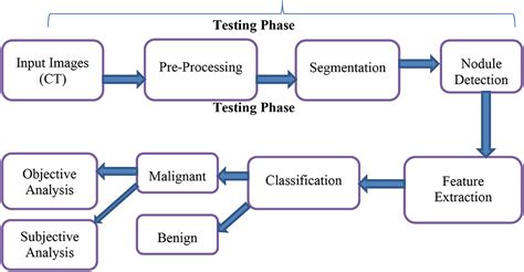 frontiers a neural network and optimization based lung cancer detection system in ct images