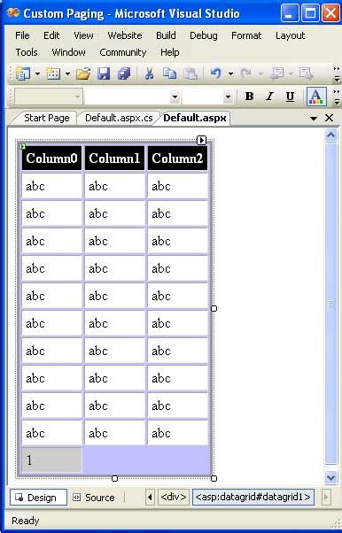 How To Display The Records In DataGrid By Using The Paging