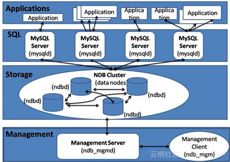 mysql分布式集群 阿里云开发者社区
