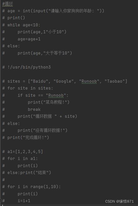 python 循环 csdn博客