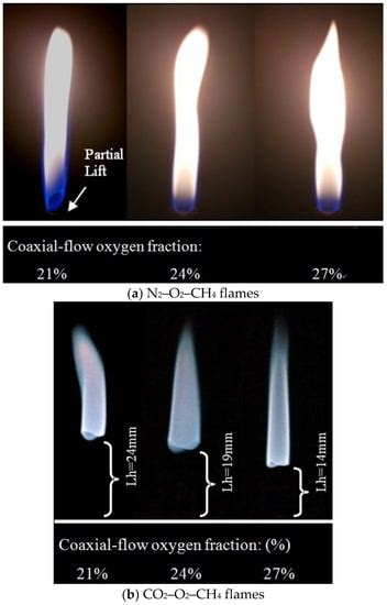 Energies Free Full Text Effect Of N2 Replacement By CO2 In Coaxial