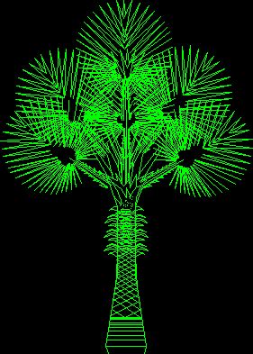 Palm Tree Autocad Block