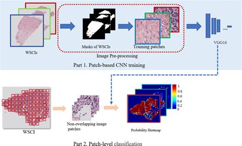 flowchart of patch‐based prediction with convolutional neural network cnn download