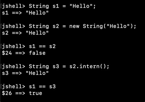 java string intern method example