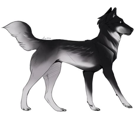 Sonder Profile Of Ashira