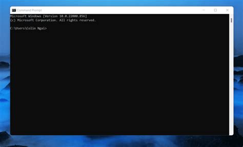 Comment Installer Node Js Et Npm Sur Windows Et Macos Toptips Fr