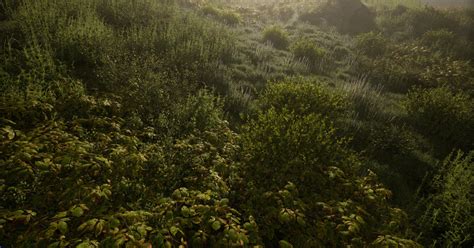 Tutorial Creating Automatic Landscape Shader In Unreal Engine