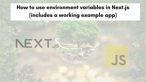 How To Use Environment Variables In Nextjs Includes A Working Example App Rnextjs