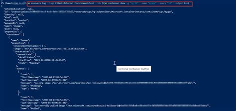 On Creating Azure Container Instance Getting Error Message