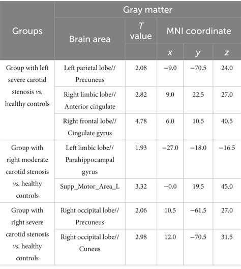 Frontiers Examination Of Brain Area Volumes Based On Voxel Based