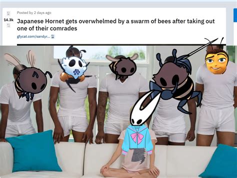 Hollow Knight Rule 34 Dikitime