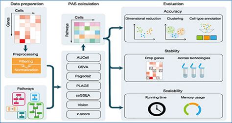 cpugpu hybrid accelerating the zuker algorithm for rna