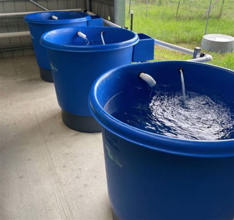 RAS500 Recirculating Aquaculture Systems 500L Fresh By Design