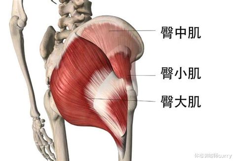 臀部两侧凹陷不饱满用这3个动作进行孤立训练还你蜜桃臀 东方养生频道 东方养生