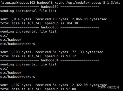 hadoop集群搭建 集群启动 hadoop集群启动 csdn博客