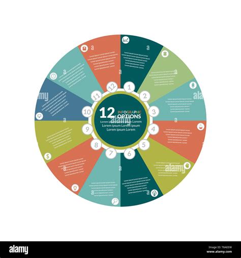 Graphs Charts Diagrams Vector Circle Infographic Template Stock