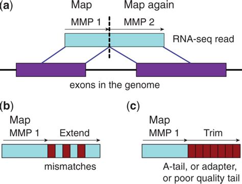 Galaxy Rna Seq