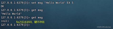 redis 基础 数据自动过期（expire、pexpire、set命令的ex选项和px选项、expireat、pexpireat、ttl pttl：获取键的剩余生存时间） redis
