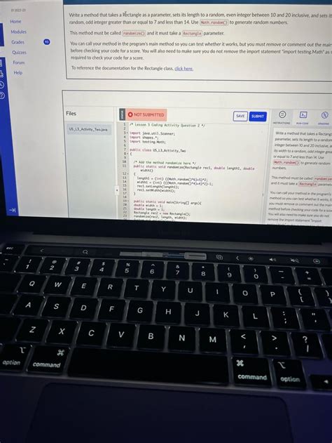 unit 4 lesson 1 coding activity 2 r edhesivehelp