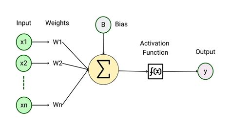 neural networks