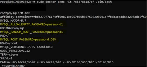 taking advantage of the docker compose environment variables