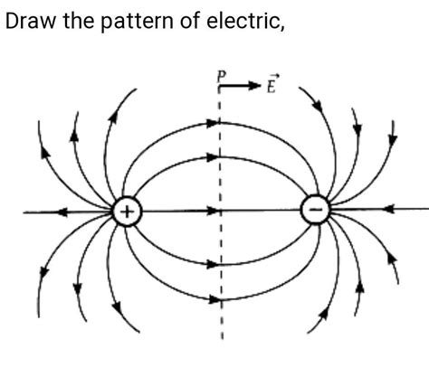 draw the electric field lines