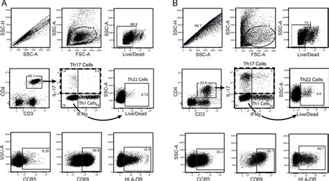 Flow Cytometry Gating Strategy For Th Subsets Isolated From A The