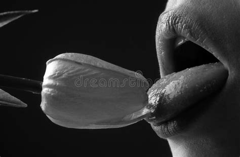 Female Mouth With Pink Lips Isolated Closeup Close Up Woman Sensual Lips With Red Lipstick