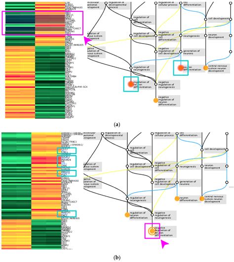 Applied Sciences Free Full Text DegoViz An Interactive