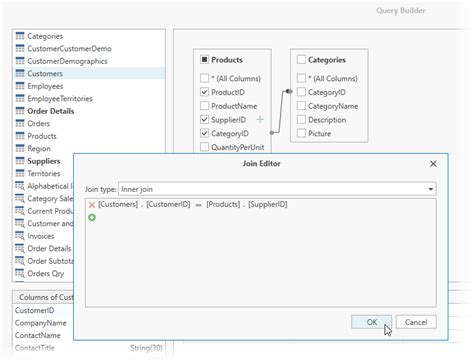 sql query builder wpf reporting tools devexpress documentation