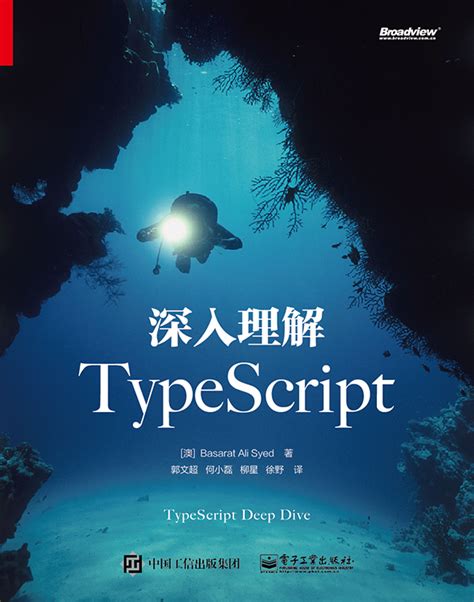 深入理解 typescript 天瓏網路書店