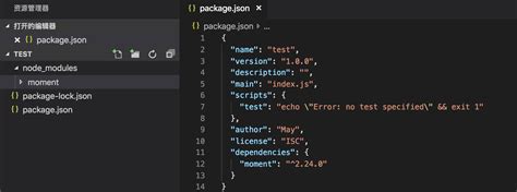 Node js 包管理器 NPM 讲解 知乎