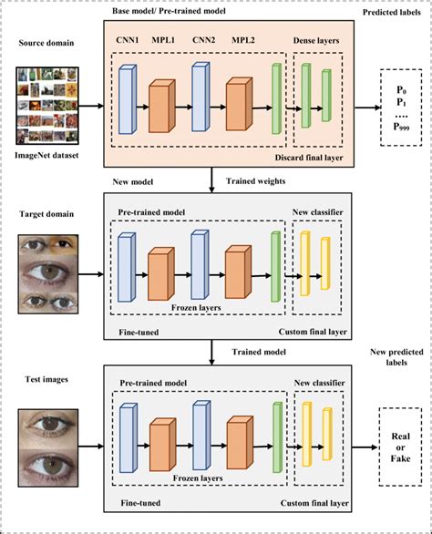 an architecture of transfer learning based iris spoof detector download scientific diagram