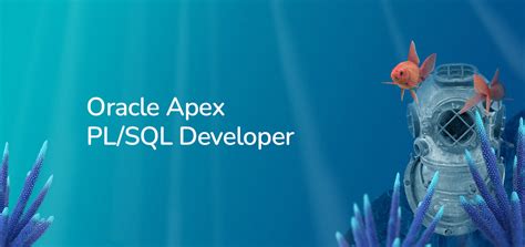 Oracle Apex PL SQL Developer LANACO
