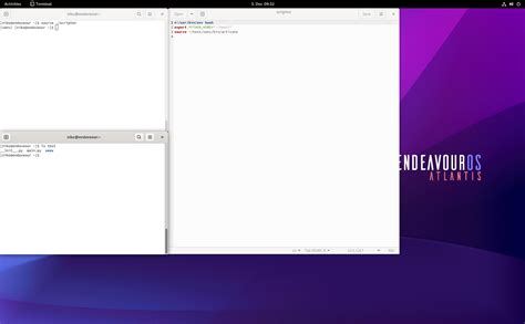 python script bash acrivate conda enpython automatically stack overflow