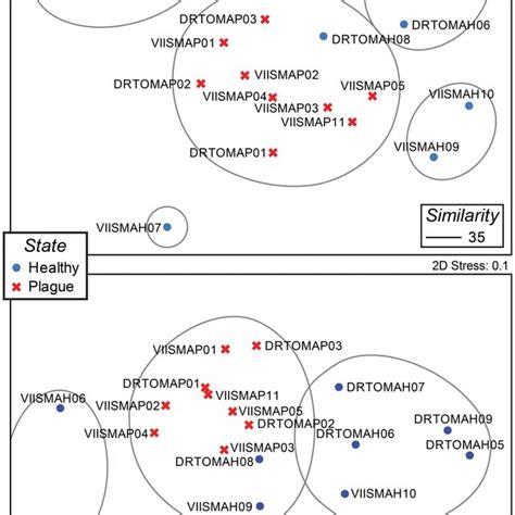 Non Metric Multidimensional Scaling NMDS Plot Of Samples Based On