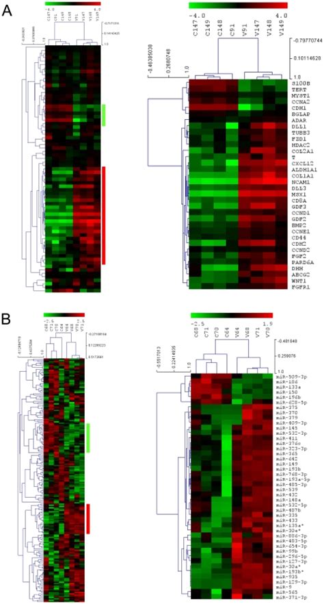 The Analyses Were Performed Initially Using The Whole Datasets Of Genes