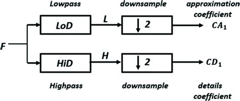 it shows 1 d discrete wavelet decomposition scheme download scientific diagram