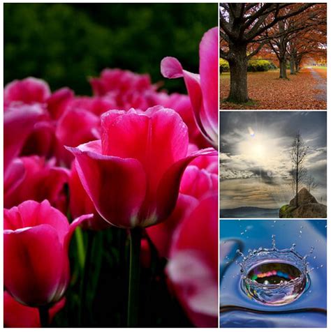 Npm React Photo Grid Updated Skypack