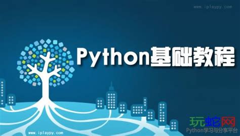 python基础教程 python入门知识 玩蛇网